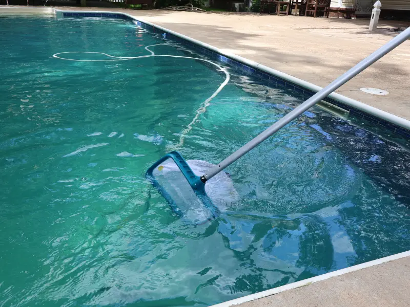Choosing A Professional Pool Cleaner in Memphis | Blue Wave